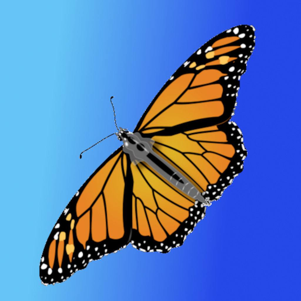 iPhone Giveaway of the Day - Butter-flies
