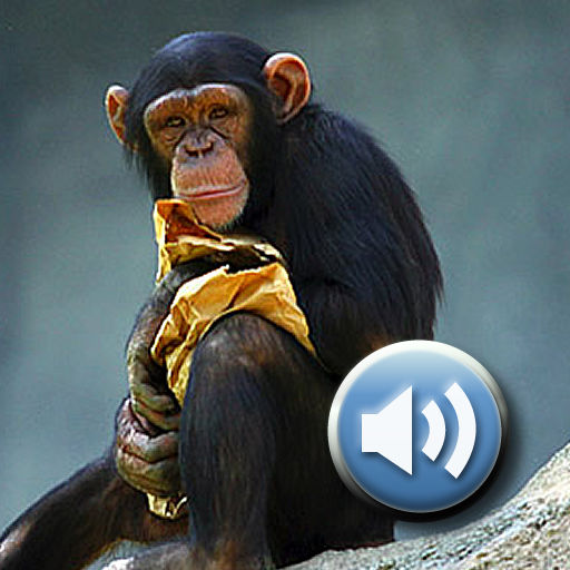 iPhone Giveaway of the Day - Toddler Tapping Zoo: Animal Sights and Sounds